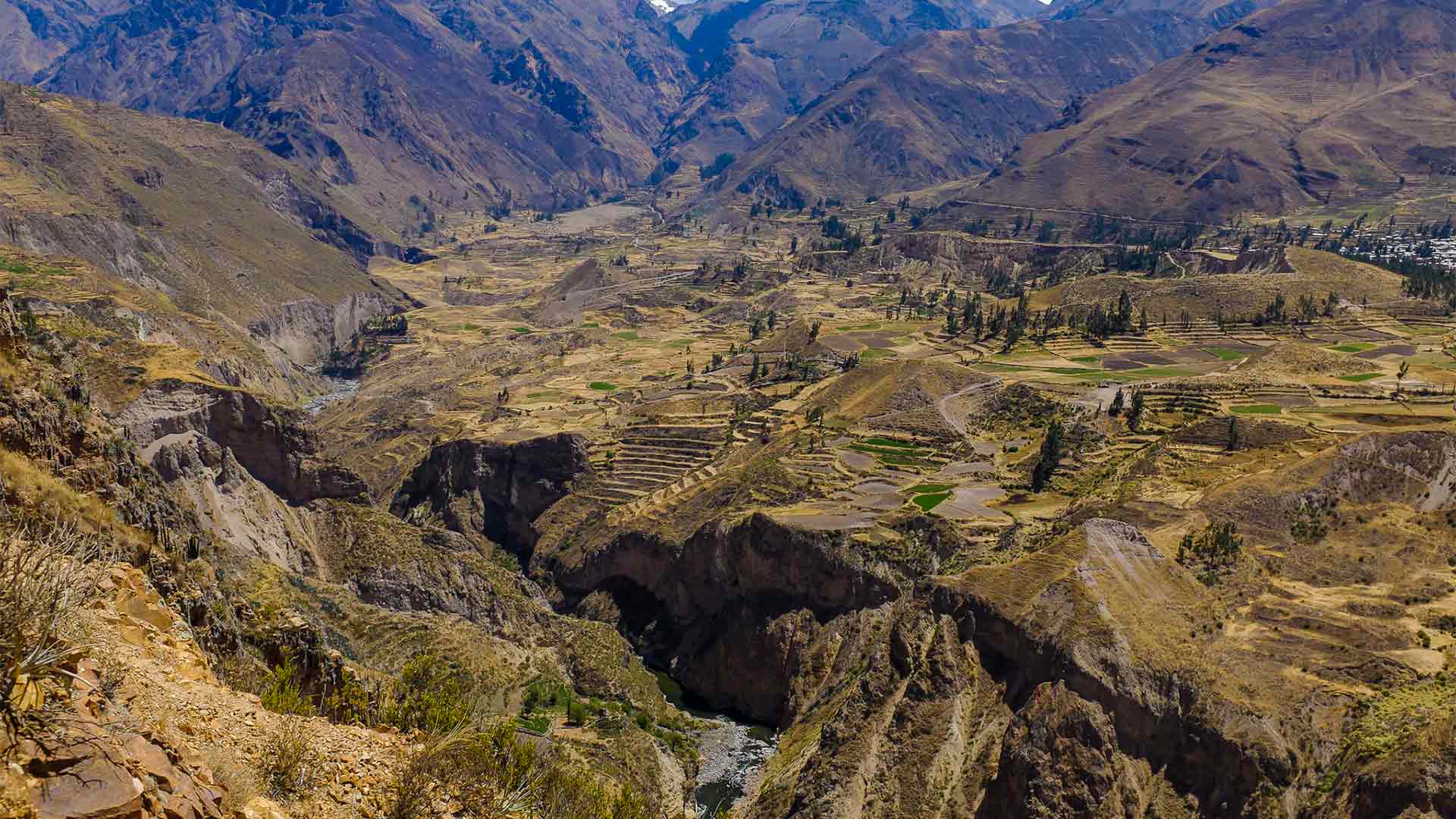 Colca Canyon Travel Guide: What to Know Before Going